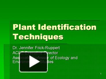 Plant Identification Techniques presentation | free to view