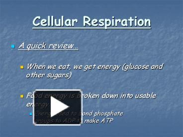 PPT – Cellular Respiration PowerPoint presentation | free to view - id ...