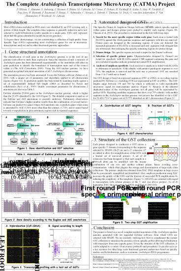 PPT – The Complete Arabidopsis Transcriptome MicroArray CATMA Project PowerPoint presentation ...