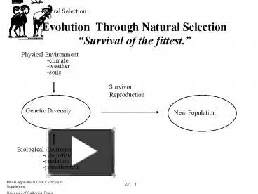 PPT – Evolution Through Natural Selection Survival of the fittest ...