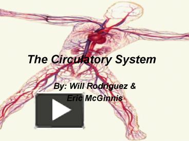 PPT – The Circulatory System PowerPoint presentation | free to view ...