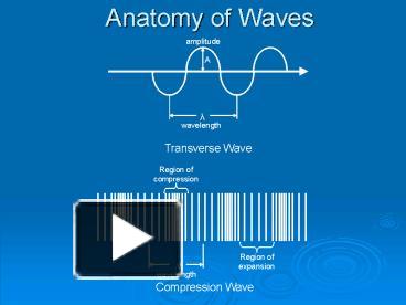 Anatomy of Waves presentation | free to view
