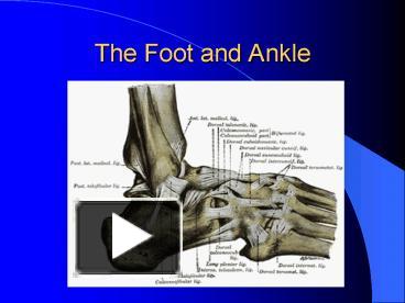 The Foot and Ankle presentation | free to view