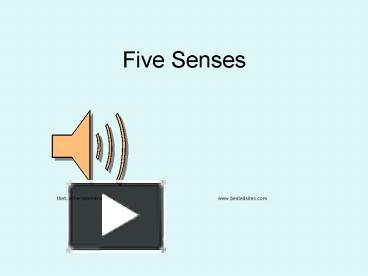 PPT – Five Senses PowerPoint presentation | free to view - id: 1398a6-ZDdkN