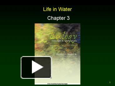 PPT – Life in Water PowerPoint presentation | free to view - id: 140f3e ...
