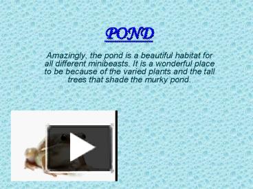 POND presentation | free to view