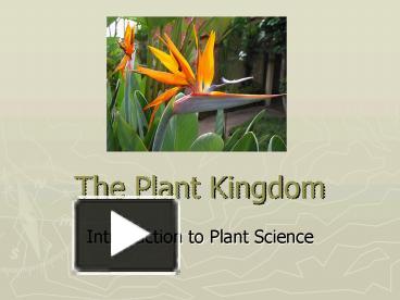 PPT – The Plant Kingdom PowerPoint presentation | free to view - id ...