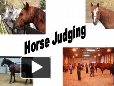 Horse Judging presentation | free to view