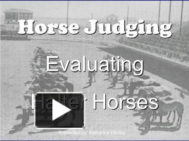 Horse Judging presentation | free to view