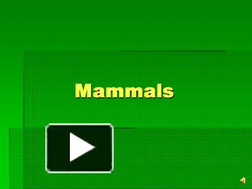 Mammals presentation | free to view