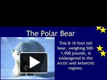 The Polar Bear presentation | free to view