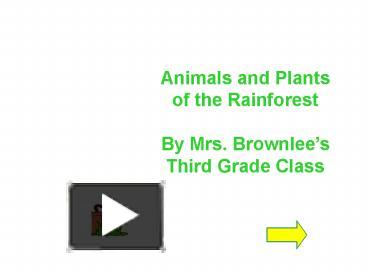 Animals and Plants presentation | free to view
