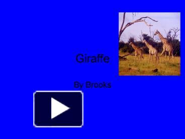 Giraffe presentation | free to view
