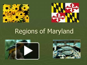 PPT – Regions of Maryland PowerPoint presentation | free to view - id ...