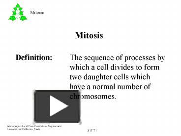 PPT – Mitosis PowerPoint presentation | free to view - id: 14e4cb-NGI4Y