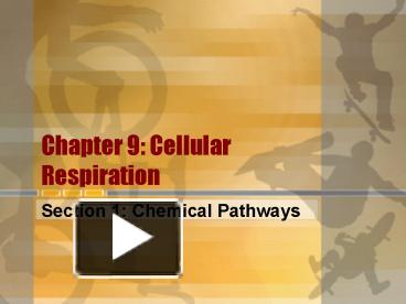 Chapter 9: Cellular Respiration presentation | free to view