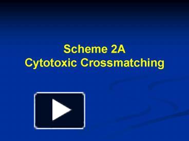 PPT – Scheme 2A Cytotoxic Crossmatching PowerPoint presentation | free to view - id: 1524b5-ZmJjZ