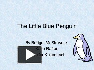 The Little Blue Penguin presentation | free to view