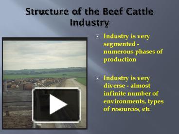 Structure of the Beef Cattle Industry presentation | free to view