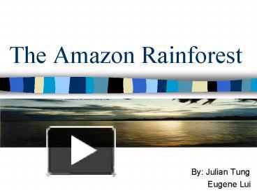 The Amazon Rainforest presentation | free to view