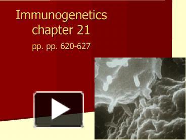 PPT – Immunogenetics chapter 21 pp' pp' 620627 PowerPoint presentation | free to view - id ...