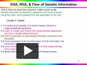DNA, RNA, presentation | free to view