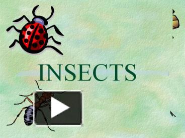 INSECTS presentation | free to view