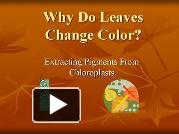 PPT – Why Do Leaves Change Color PowerPoint presentation | free to view ...