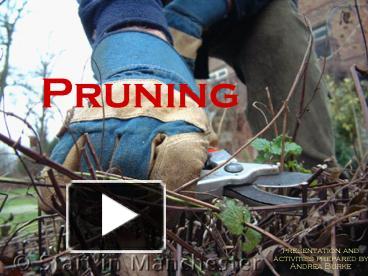 Pruning presentation | free to view