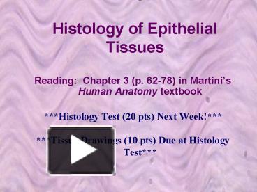 Histology of Epithelial Tissues presentation | free to view