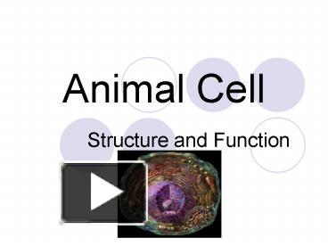 PPT – Animal Cell PowerPoint presentation | free to view - id: 15d48c-ZDM1Z