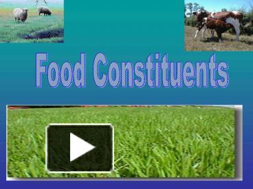 Food Constituents presentation | free to view