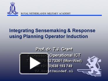 Integrating Sensemaking presentation | free to view