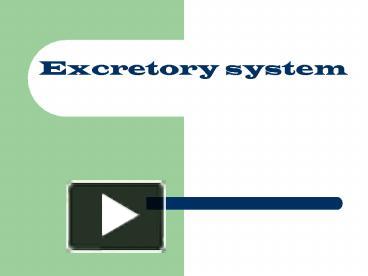 Excretory system presentation | free to view