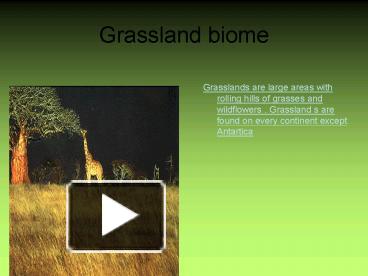 Grassland biome presentation | free to view