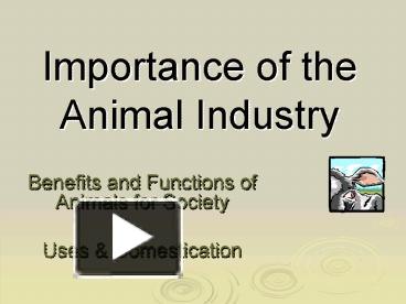 Importance of the Animal Industry presentation | free to view