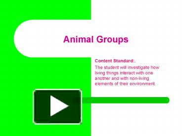 Animal Groups presentation | free to view