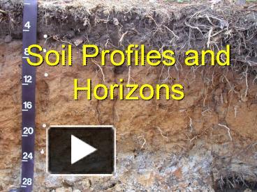 Soil Profiles and Horizons presentation | free to view