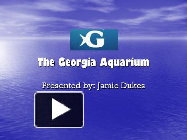 PPT – The Georgia Aquarium PowerPoint presentation | free to view - id ...