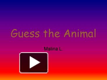 Guess the Animal presentation | free to view
