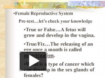 PPT – Female Reproductive System PowerPoint presentation | free to view ...