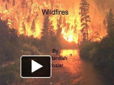 PPT – Wildfires PowerPoint presentation | free to view - id: 174d8c-ZDc1Z
