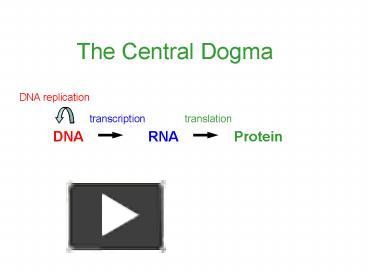 PPT – The Central Dogma PowerPoint presentation | free to view - id ...