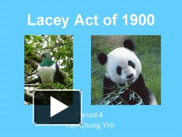 PPT – Lacey Act of 1900 PowerPoint presentation | free to view - id ...