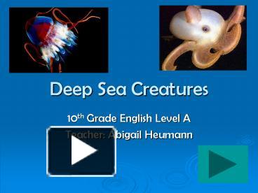 Deep Sea Creatures presentation | free to view