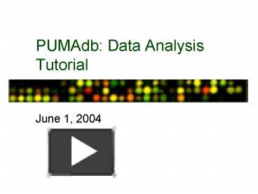 PUMAdb: Data Analysis Tutorial presentation | free to download