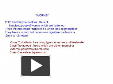 WORMS presentation | free to view