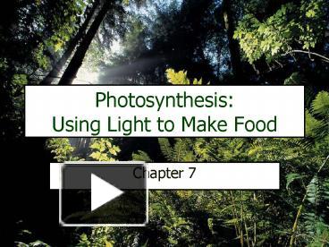 Photosynthesis: Using Light to Make Food presentation | free to view