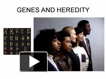 GENES AND HEREDITY presentation | free to view