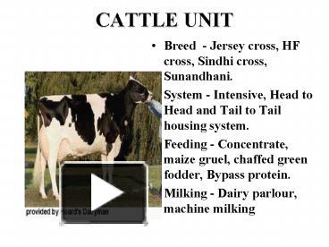 CATTLE UNIT presentation | free to view